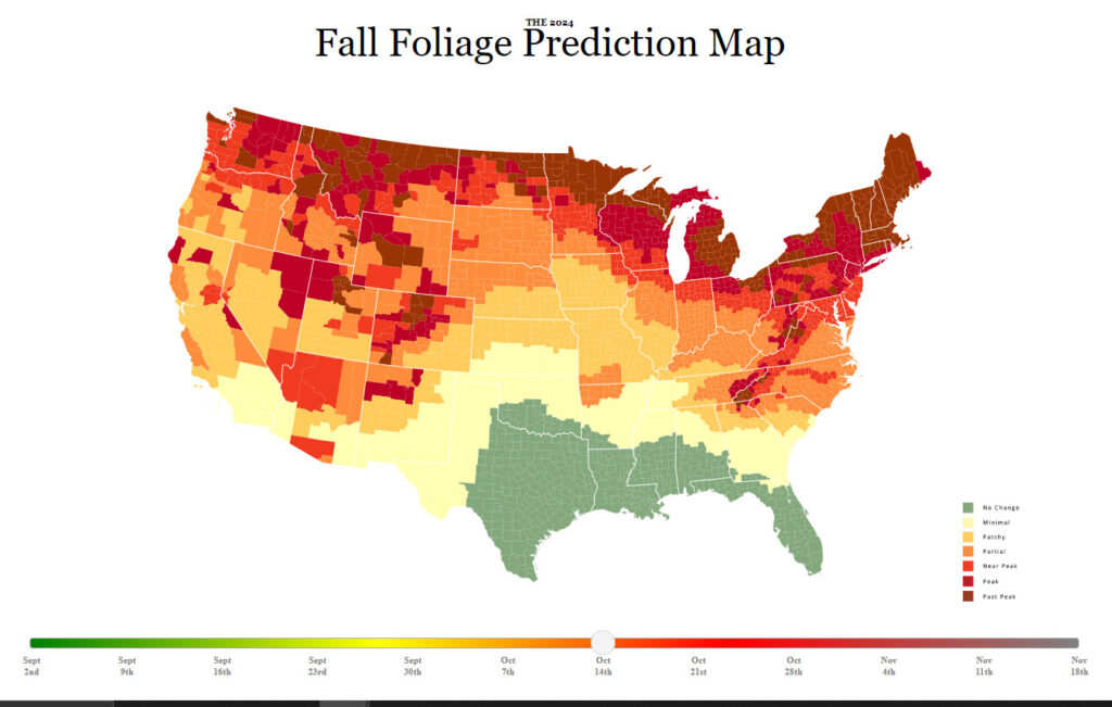 Here’s When Fall Colors Are Predicted To Peak in North Carolina in 2024