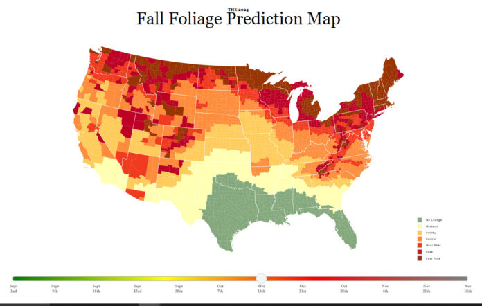 Here’s When Fall Colors Are Predicted To Peak in North Carolina in 2024