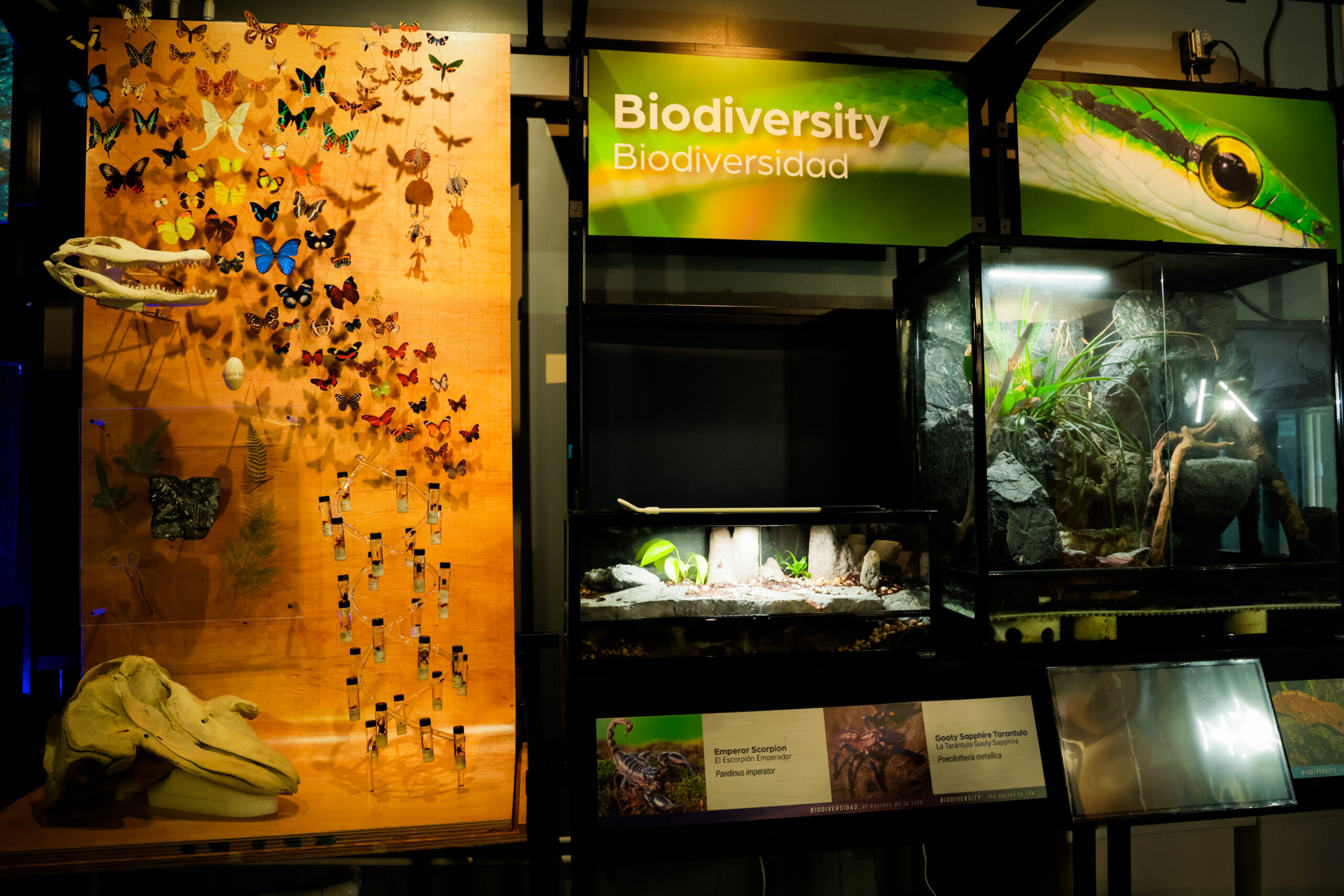 Living Planet Lab Opening This Week at Discovery Place Science