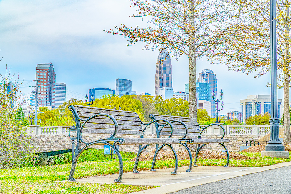 charlotte spring bloom - Charlotte Stories