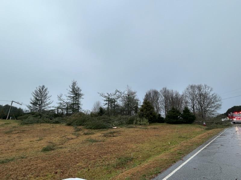 This Morning's Storms Uproot Trees and Cut Power w/ Possible Tornado in Union County