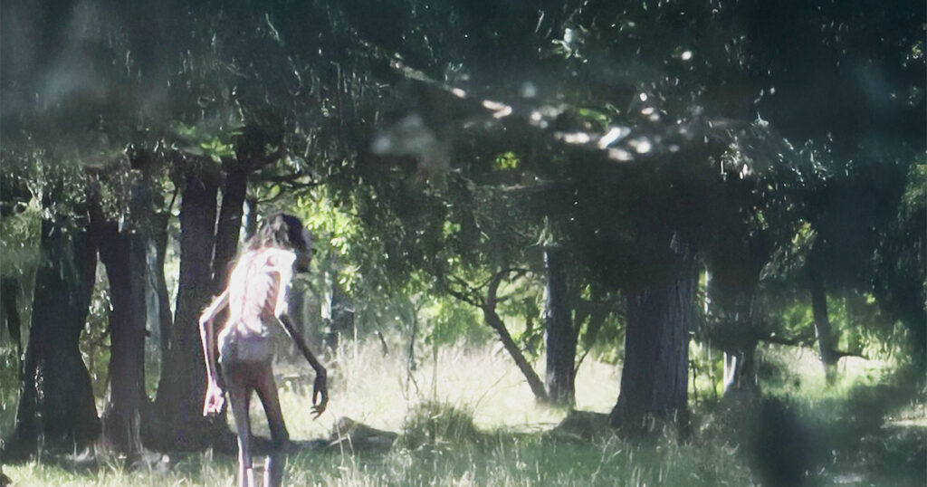 York County Wendigo? Alleged Sightings Spark New Fears in the South ...